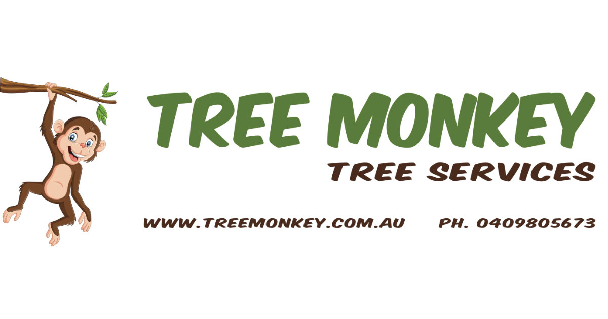 Tree Removal Geelong - Tree Monkey Tree Services